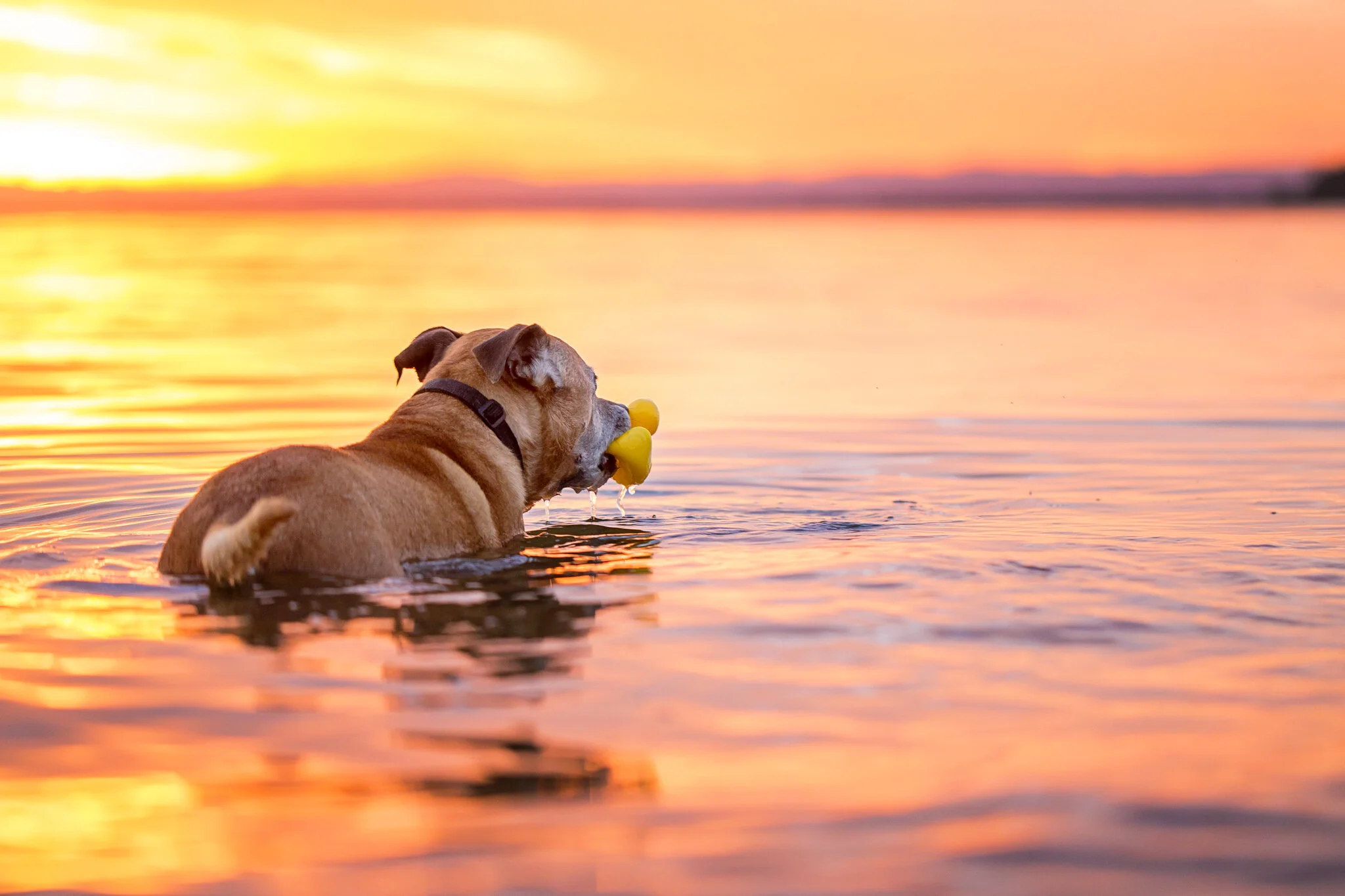 Portfolio — Charlotte Reeves Photography