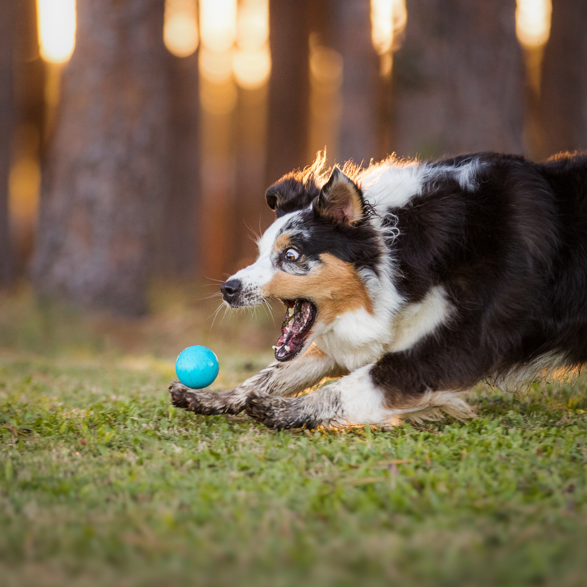Book your session — Charlotte Reeves Photography