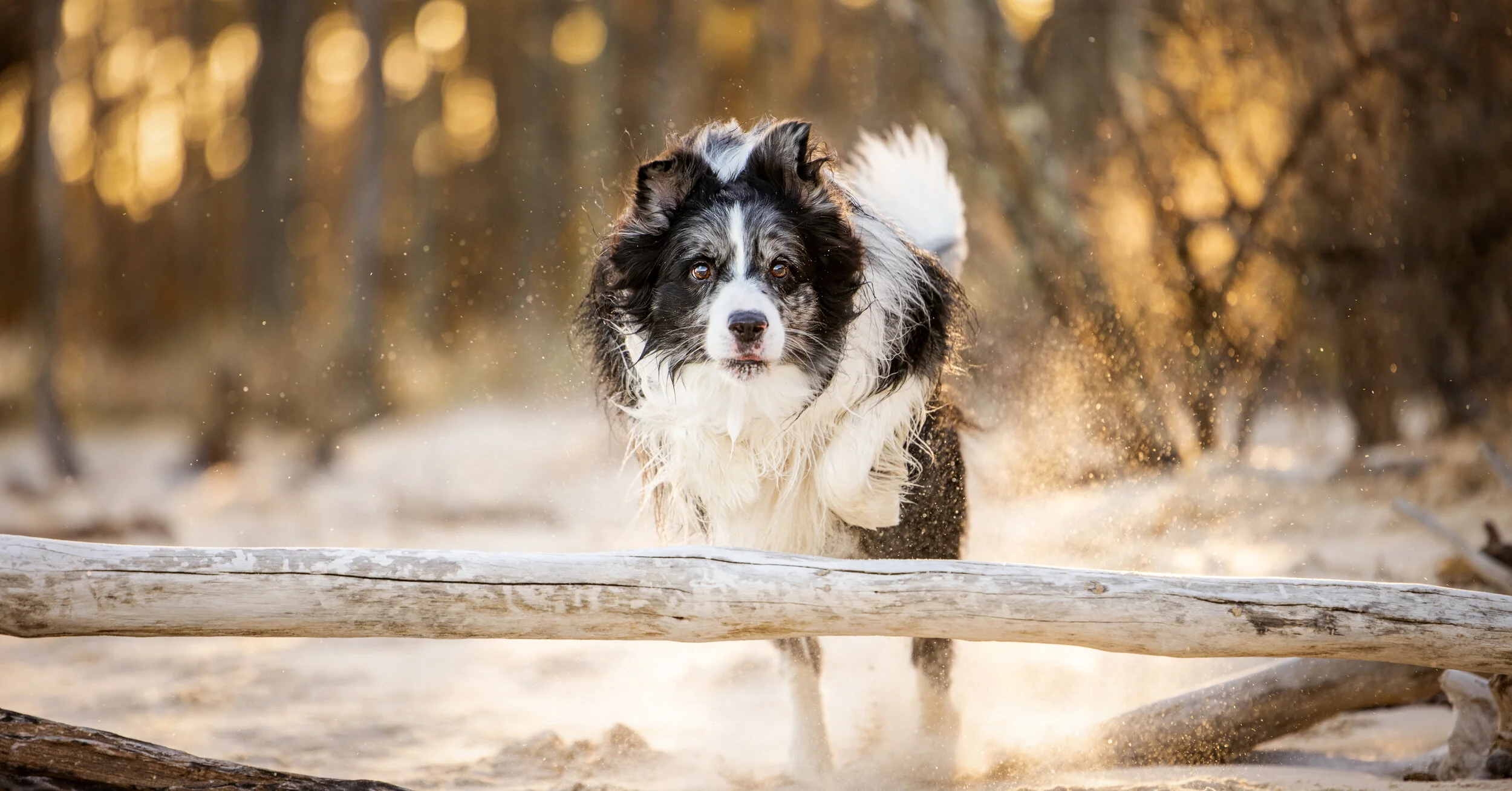 Charlotte Reeves Photography