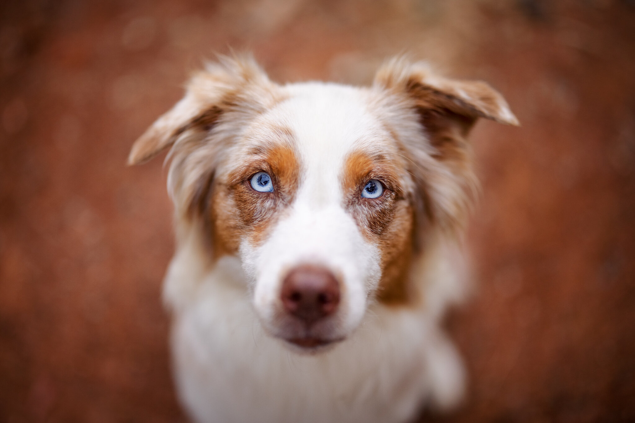 Charlotte Reeves Photography — Charlotte Reeves Photography