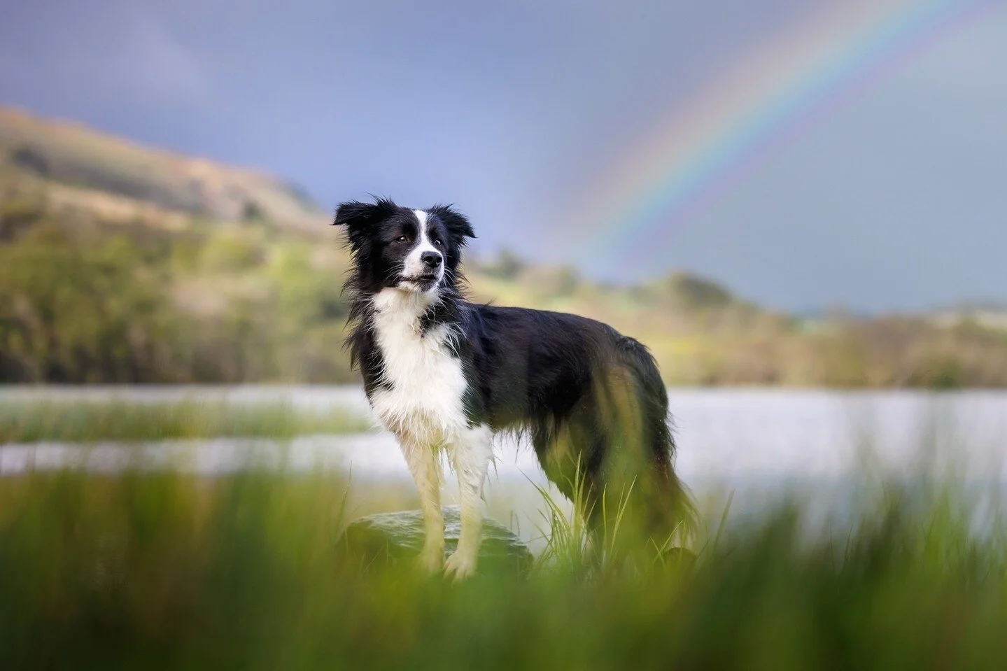 Charlotte Reeves Photography — Charlotte Reeves Photography