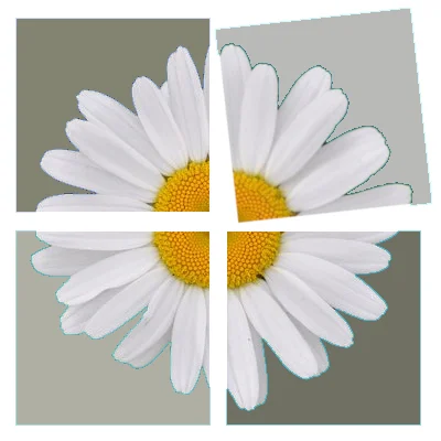 Jenny Aylward's Instagram, Twitter & Facebook on IDCrawl