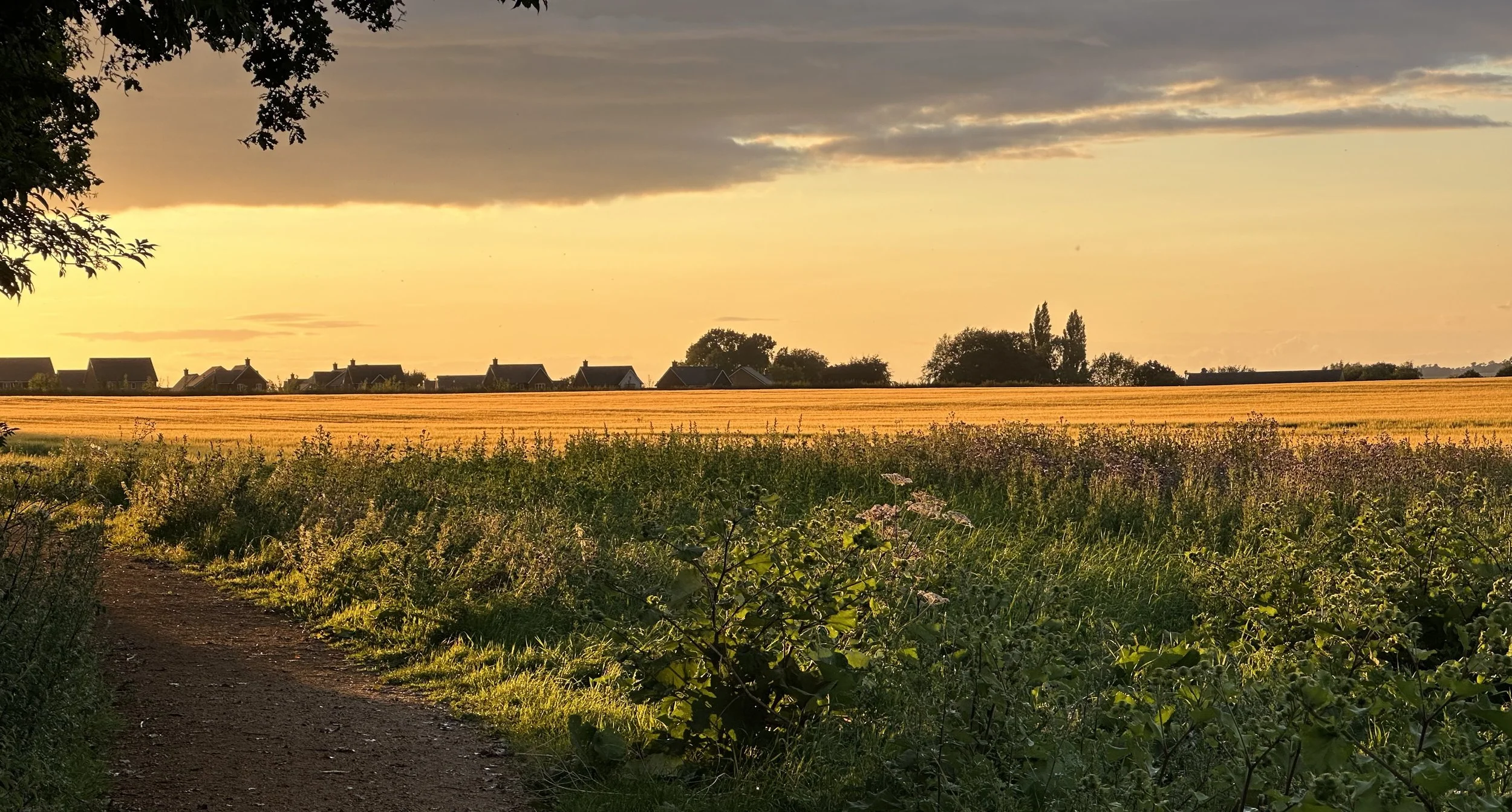 CHOLSEY VILLAGE
