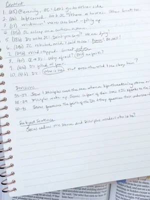 Bible Study Methods: Homiletics — Nicole O'Meara