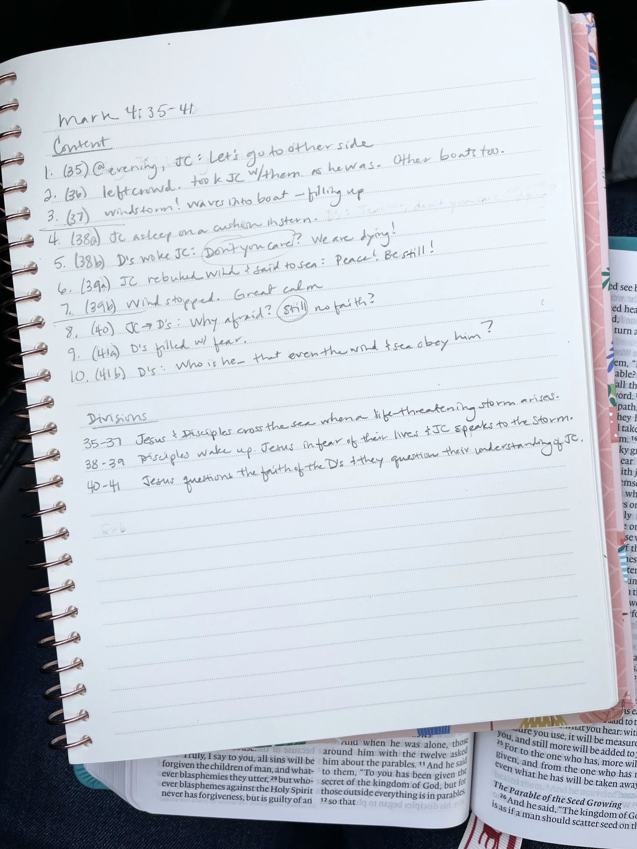 Bible Study Methods: Homiletics — Nicole O'Meara
