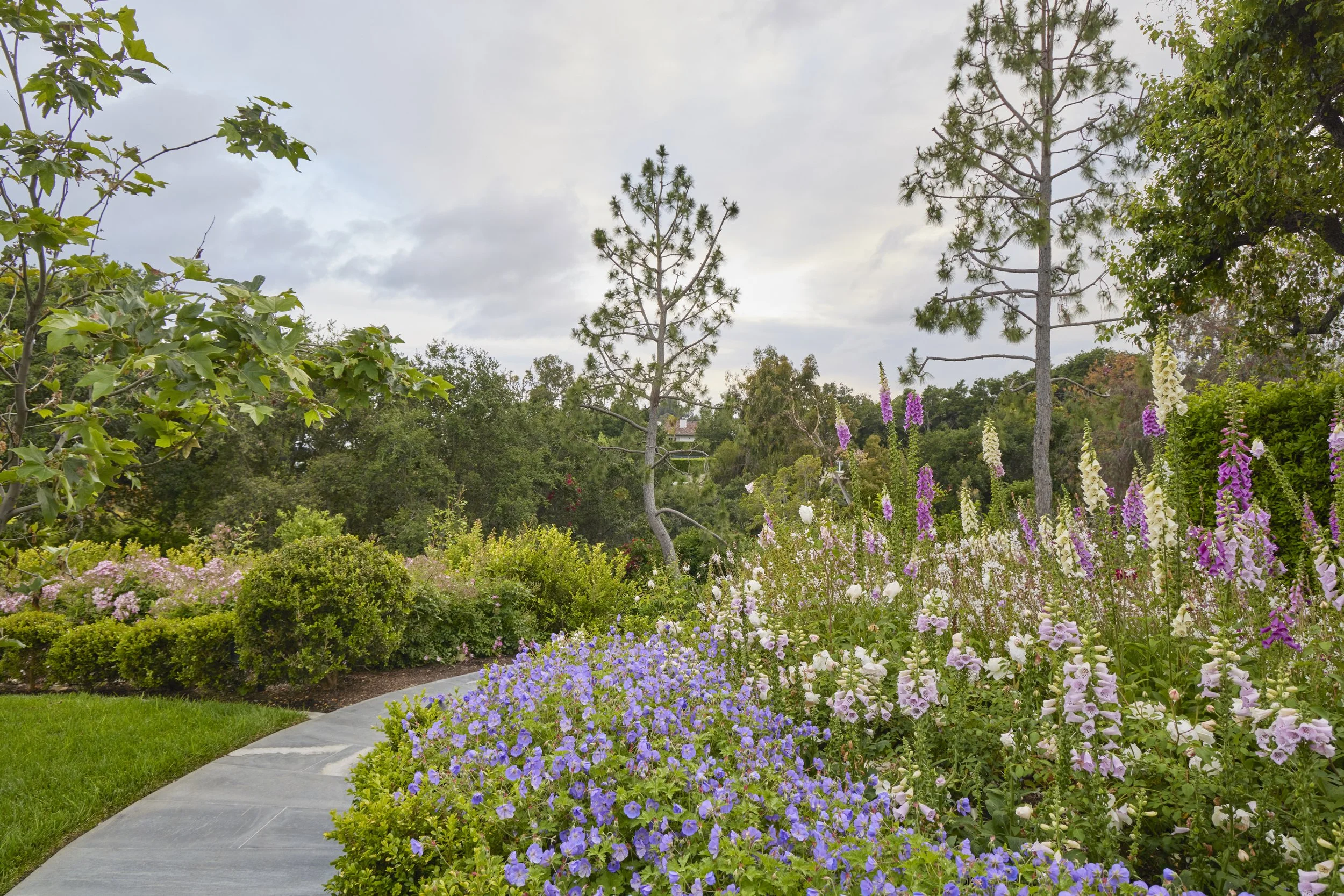 Historic Bel Air Garden — benner landscape design
