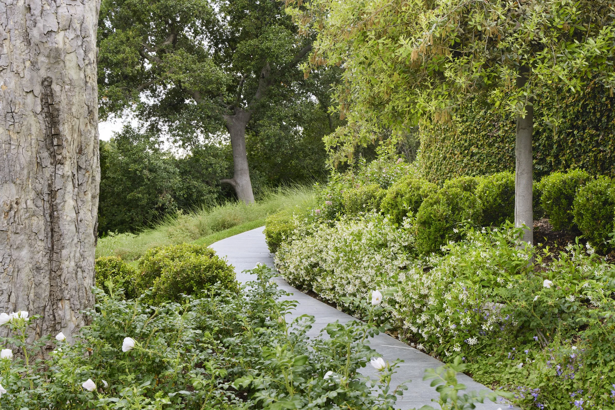 Historic Bel Air Garden — benner landscape design