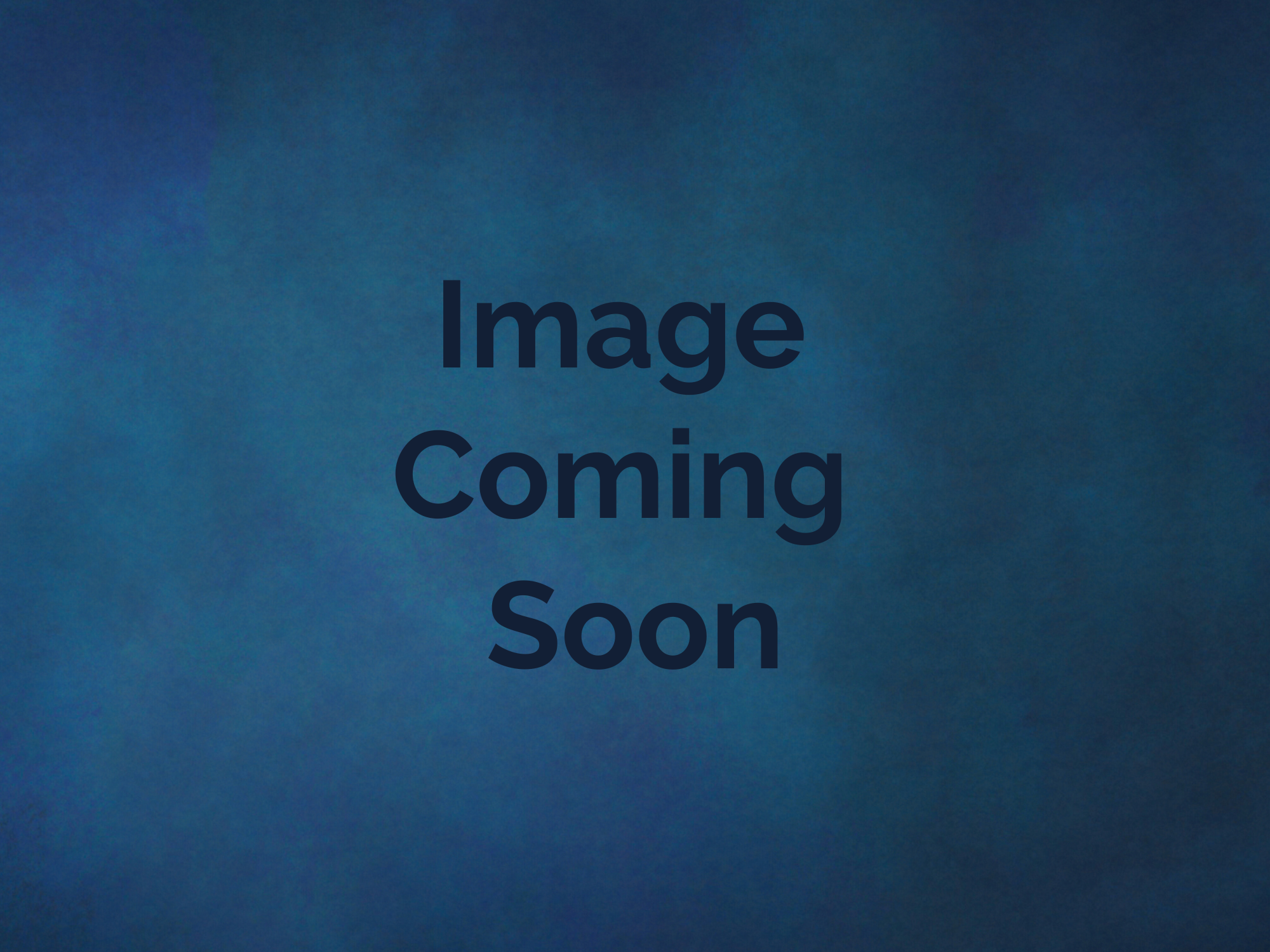 Our Team — Tarr Financial