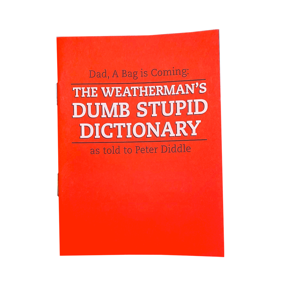The Weatherman's Dumb Stupid Dictionary — [Negativland & Seeland Records]