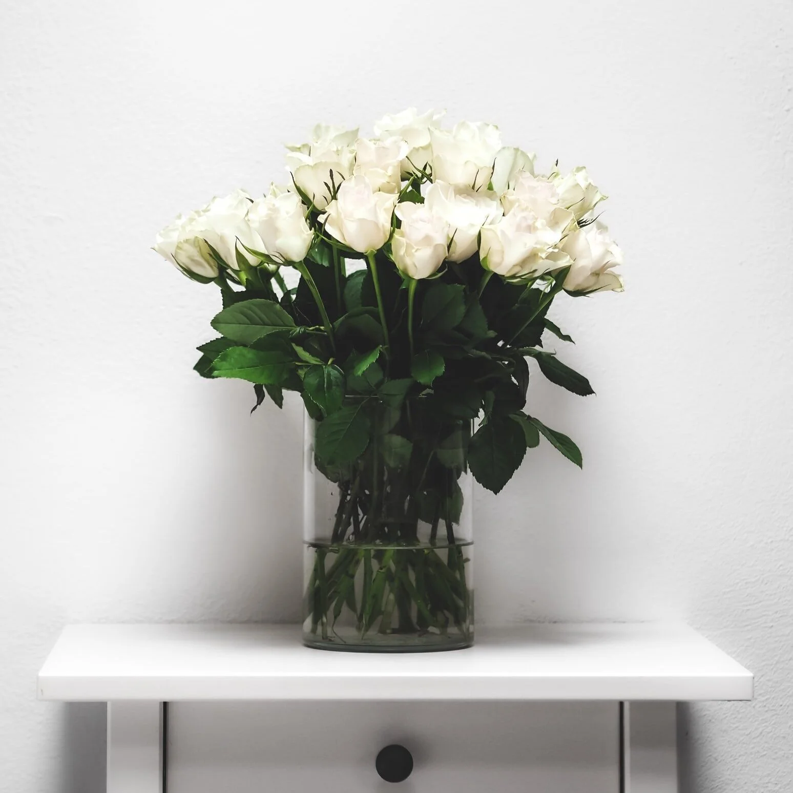 4 Reasons Why White Is The Perfect Colour Choice For Flowers 4-reasons-why-white-is-the-perfect-colour-choice-for-flowers