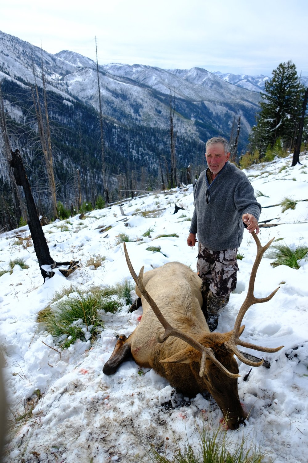 WILDERNESS MULE OUTFITTING