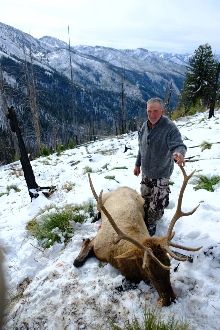 WILDERNESS MULE OUTFITTING