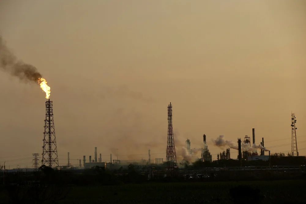 Mexico's Interoceanic Corridor Set to Transform Vital Ecosystems into ...