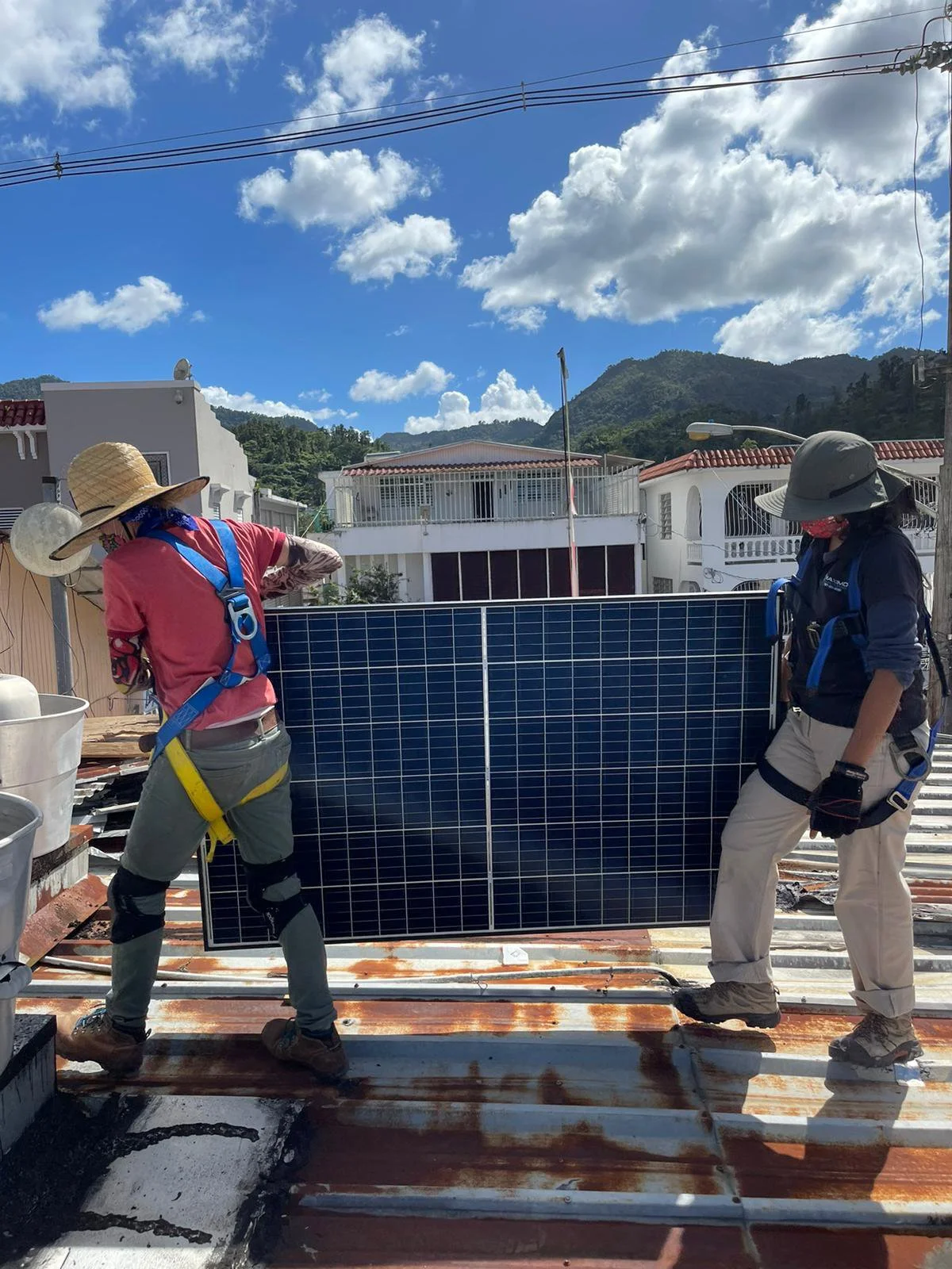 An Island in Search of Light — palabra.