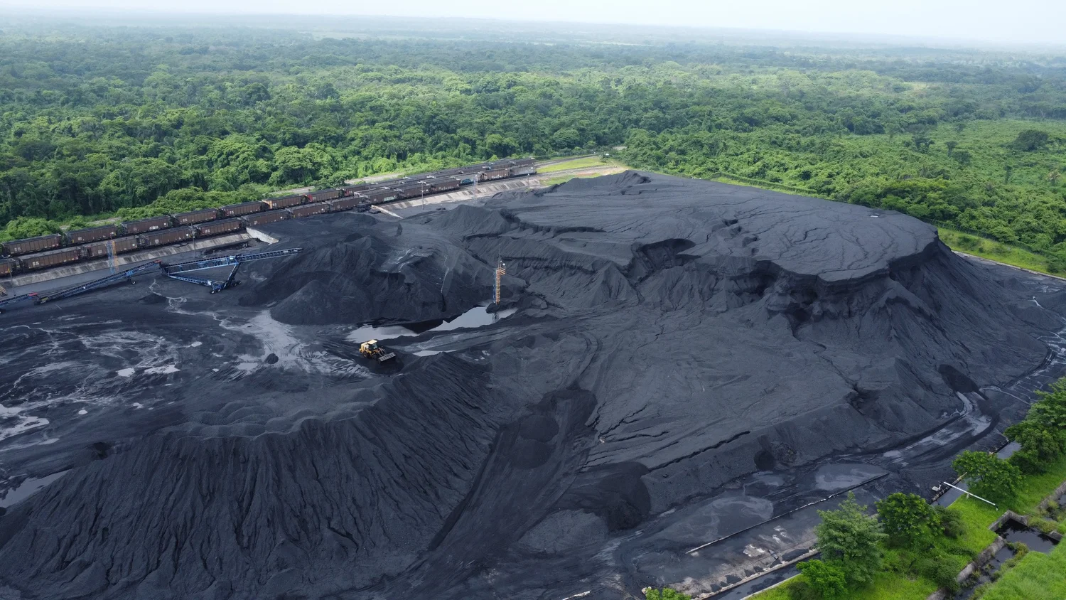 Mexico's Interoceanic Corridor Set to Transform Vital Ecosystems into ...