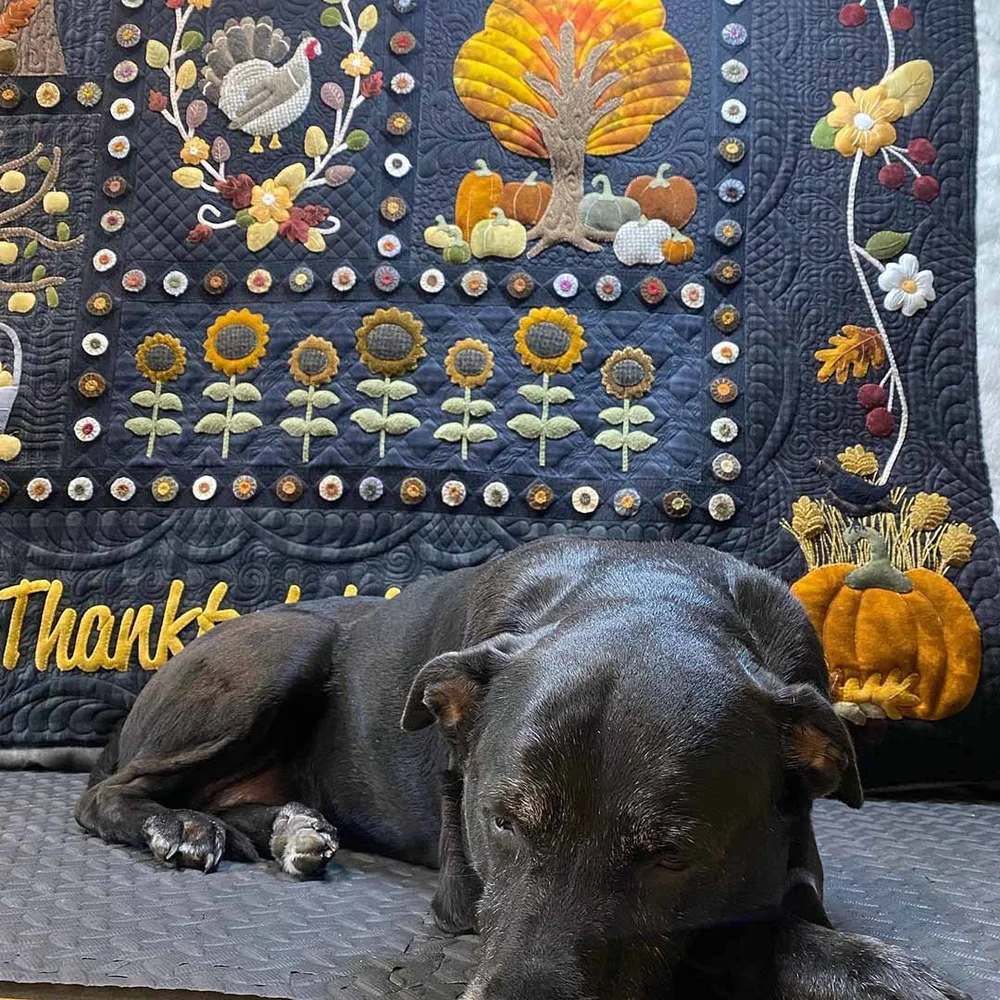 Live A Thankful Life: The Lockdown Quilt. — Double E Quilting