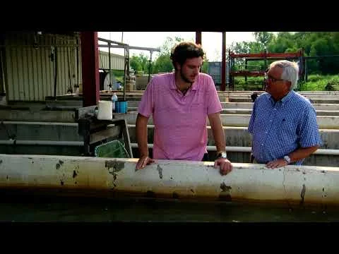 Catfish Is Life — The Catfish Institute