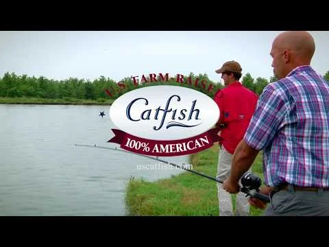 Catfish Is Life — The Catfish Institute