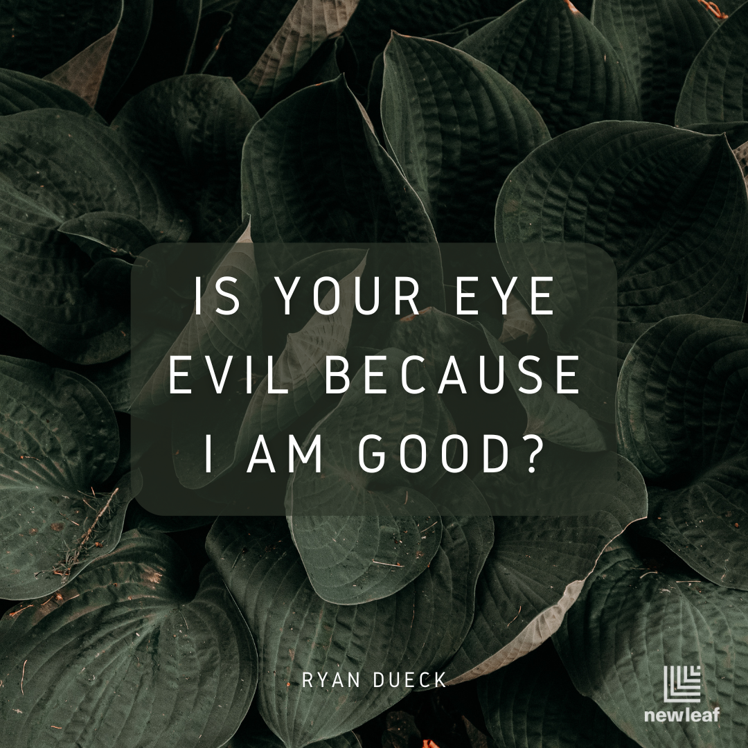 Traveller Review — New Leaf Network