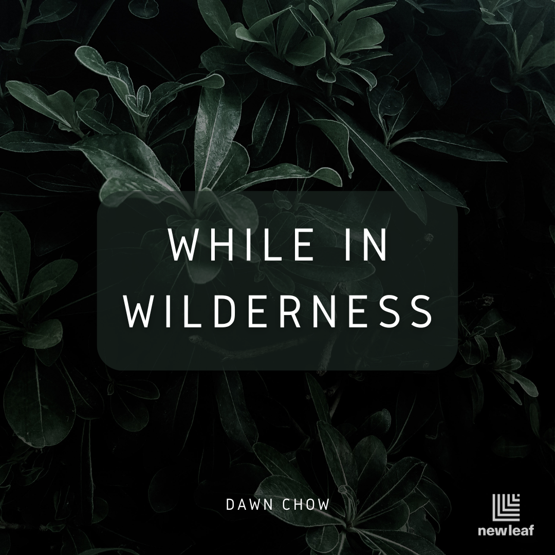 Writing Collective — New Leaf Network