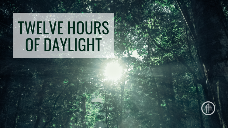 twelve hours of daylight — New Leaf Network