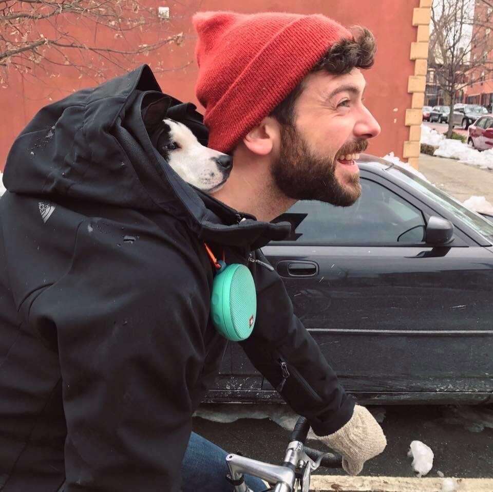 Anchor Veterinary Surgery — About — Anchor Veterinary Surgery