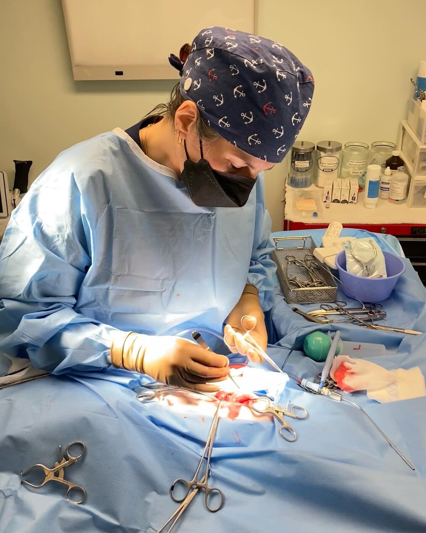 Anchor Veterinary Surgery - Anchor Veterinary Surgery