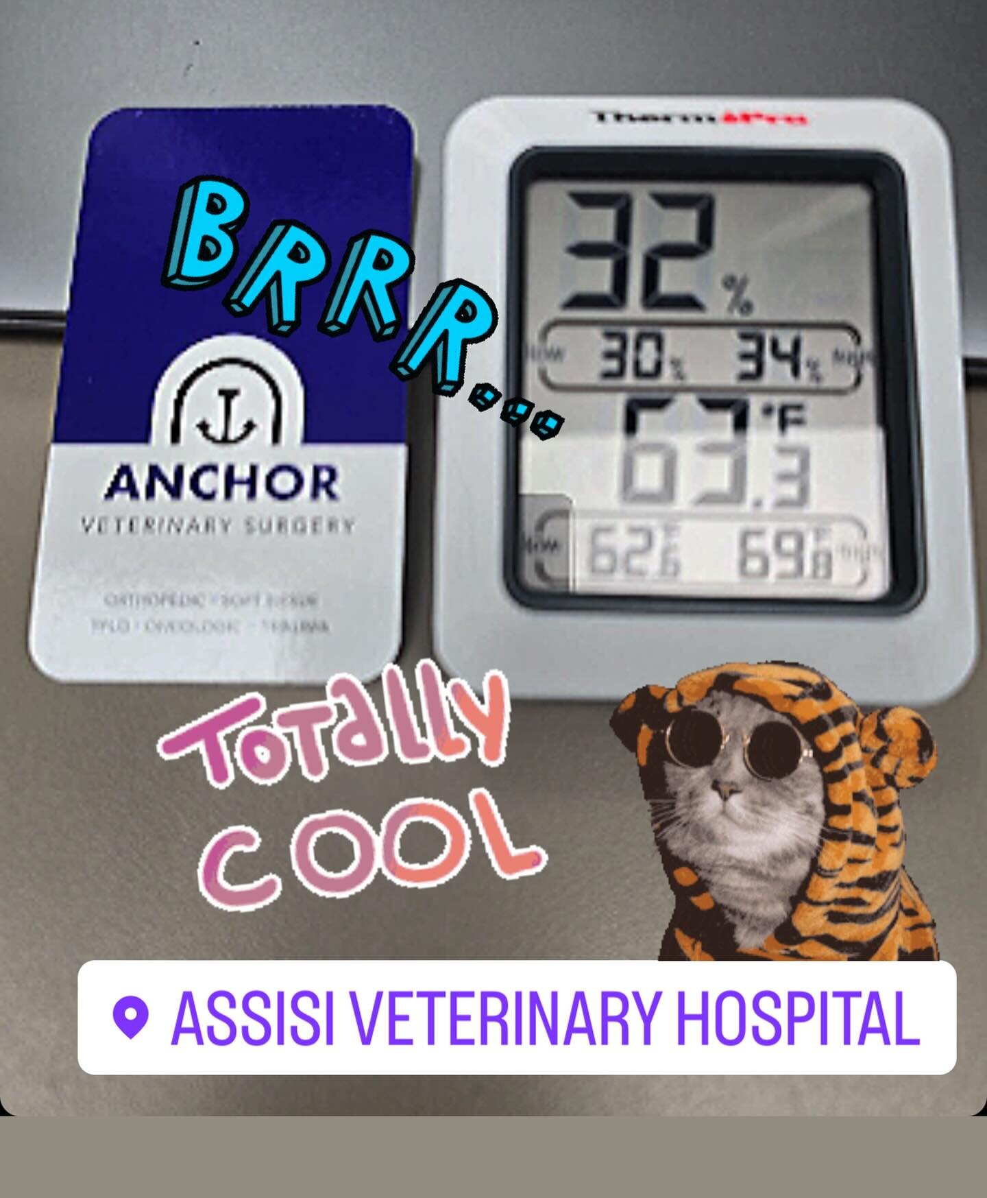 Anchor Veterinary Surgery - Anchor Veterinary Surgery