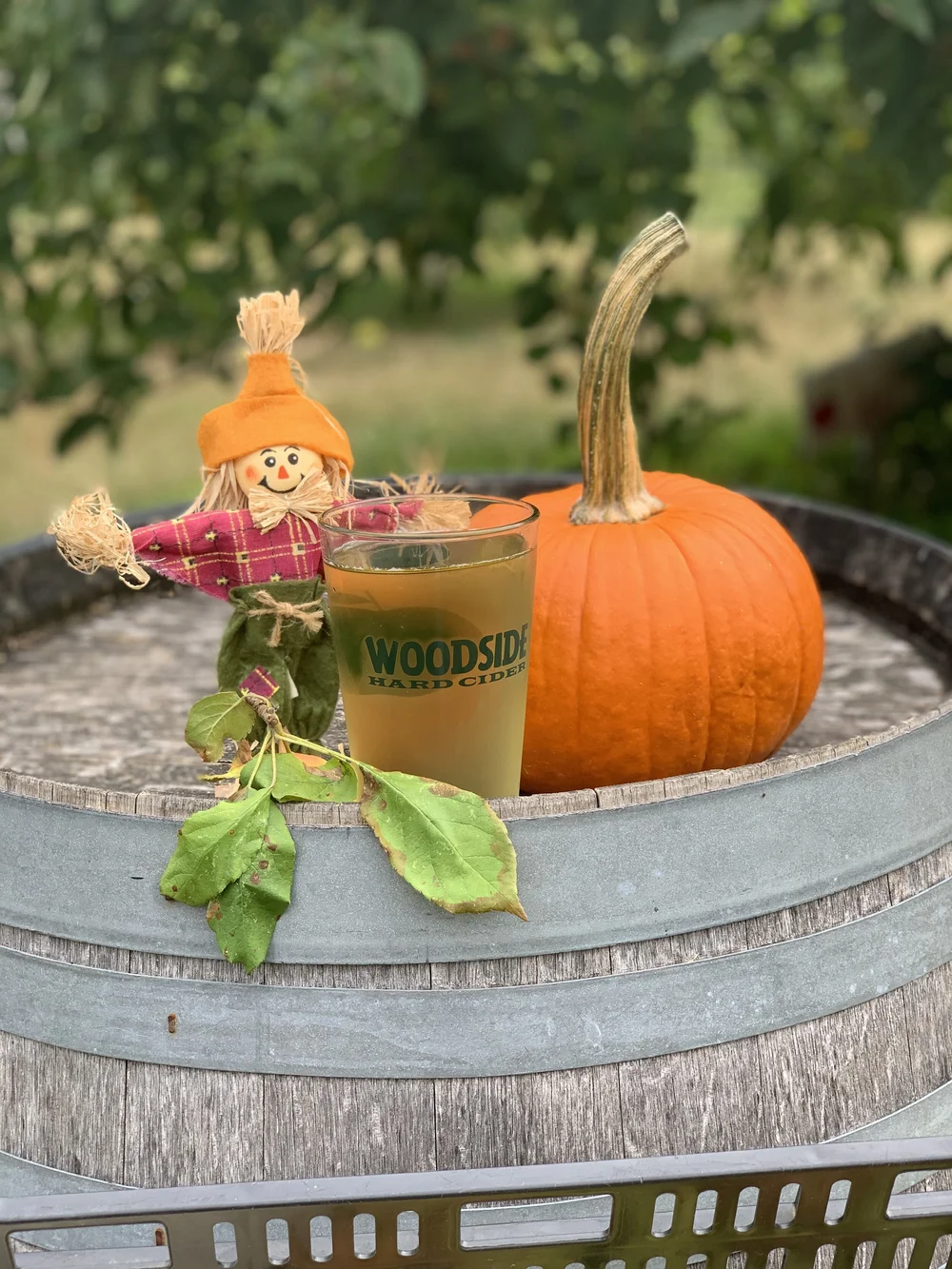 Hard Cider — Woodside Orchards