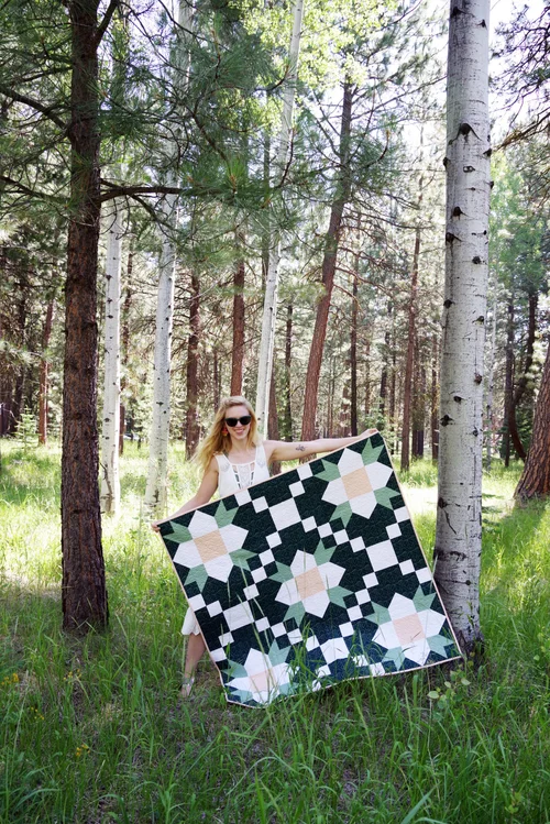 Dana Pattern Release — Alderwood Studio • Modern Quilts for Modern Life