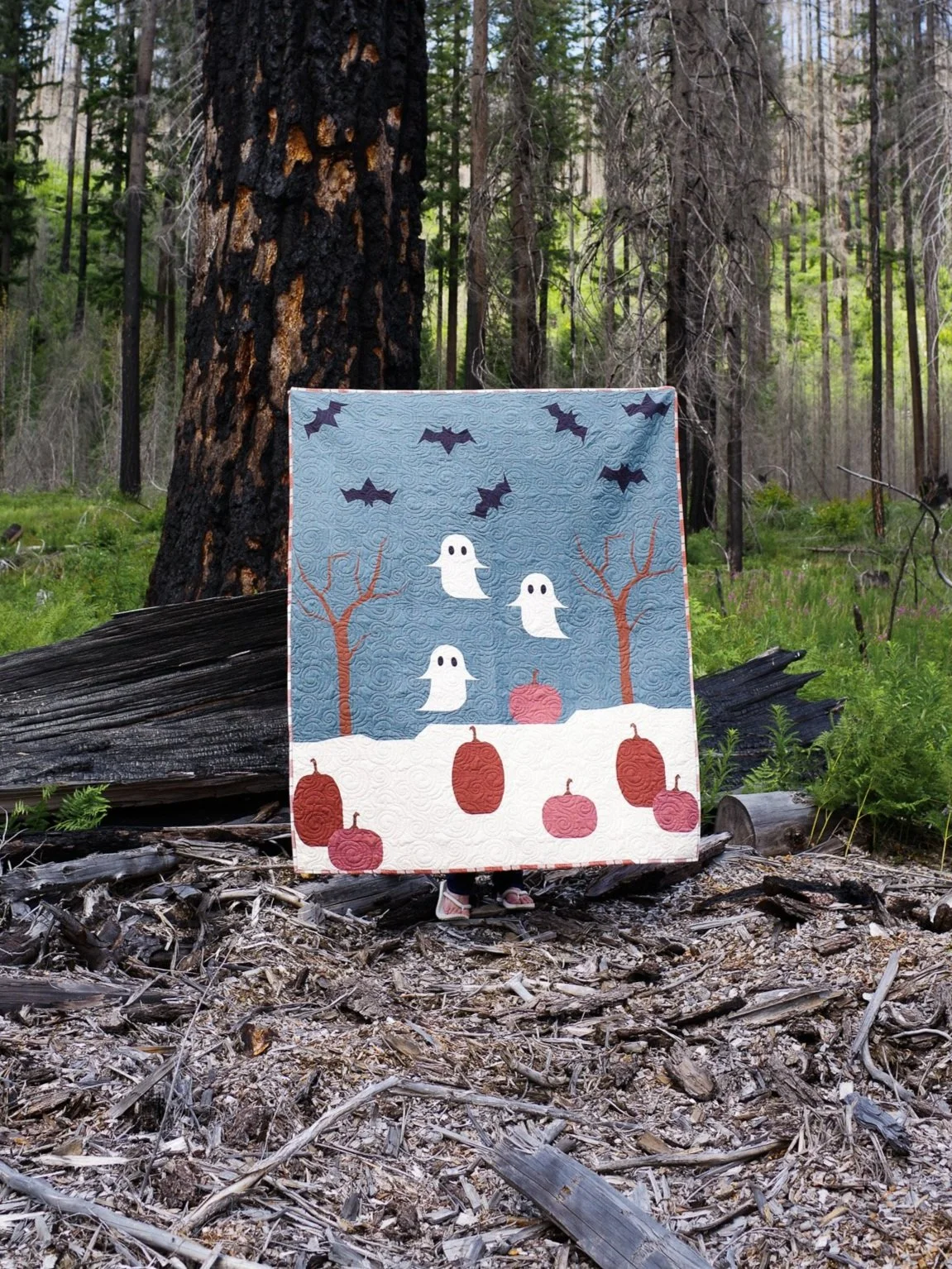 Dana Quilt Pattern — Alderwood Studio • Modern Quilts for Modern Life