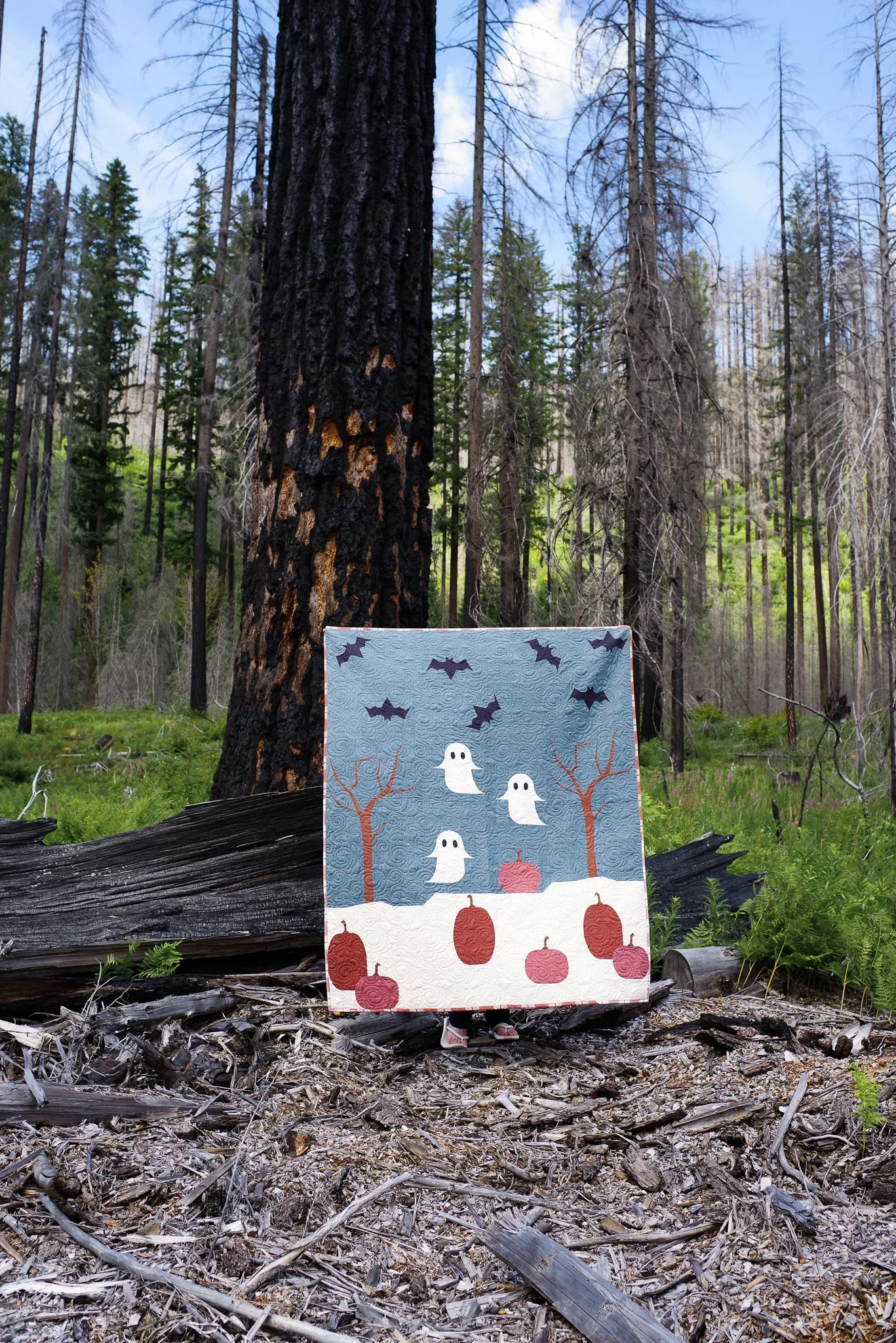 Dana Quilt Pattern — Alderwood Studio • Modern Quilts for Modern Life