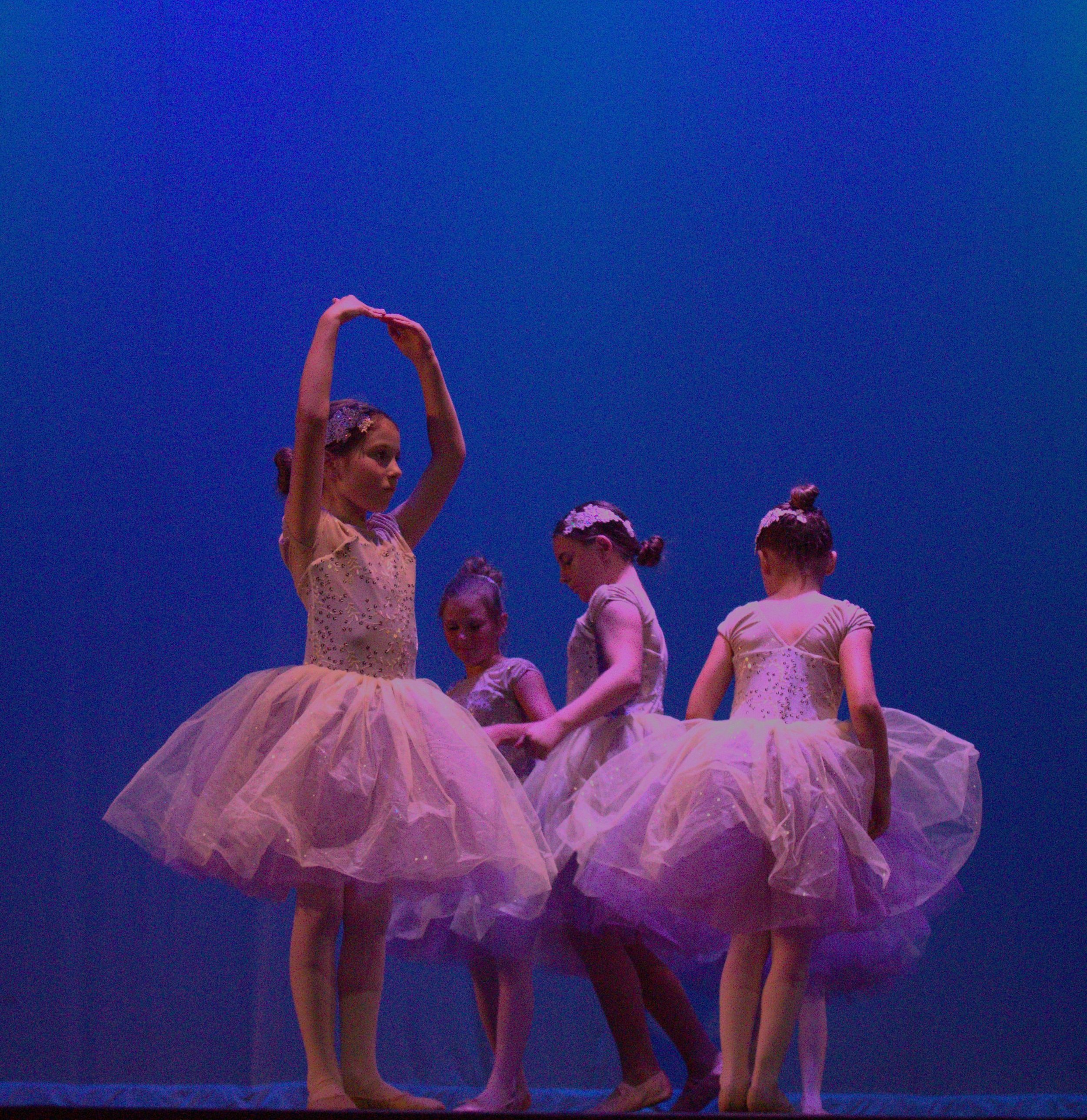Description — Dance Unlimited