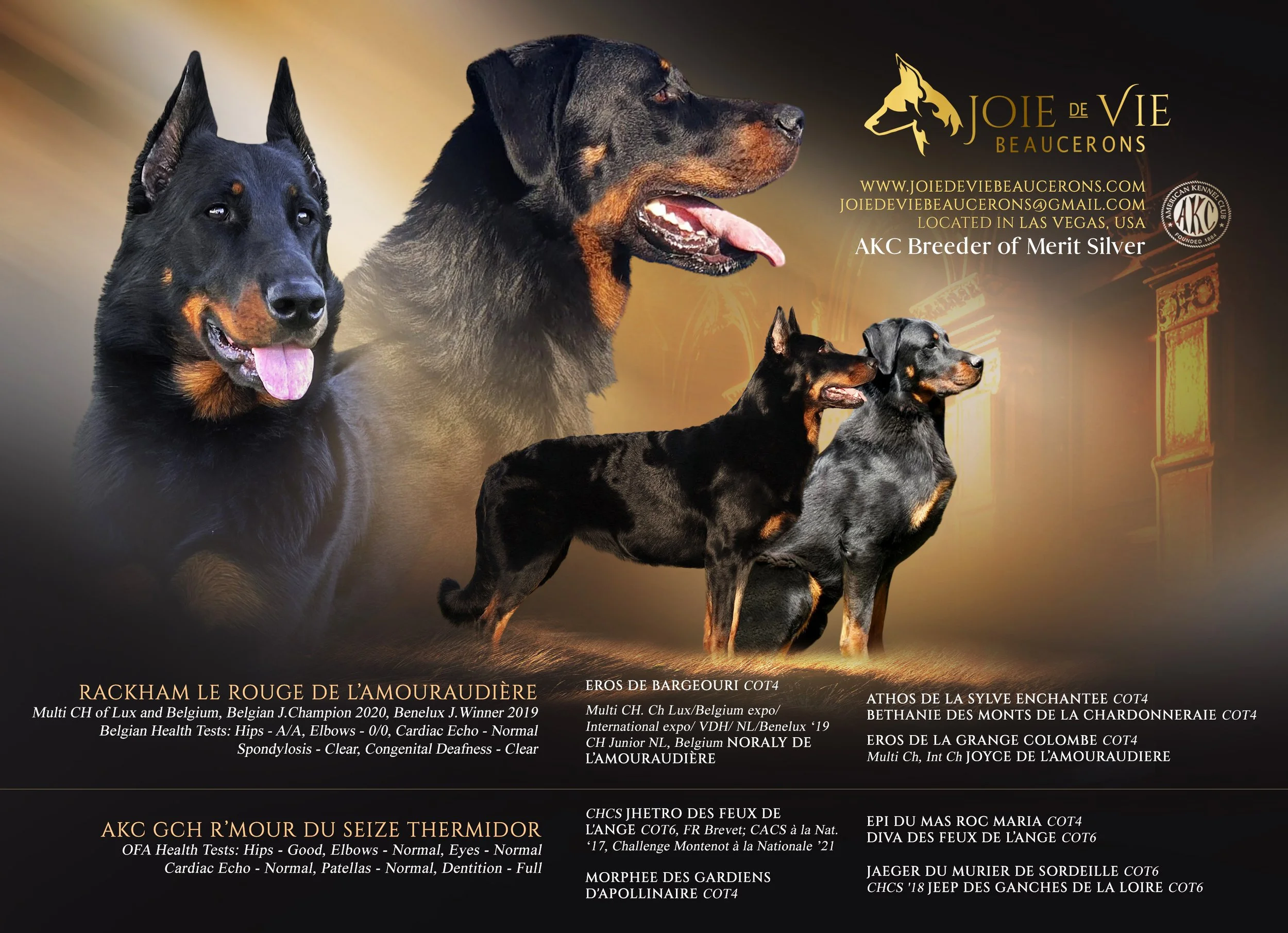 JOIE DE VIE BEAUCERONS-Beauceron Puppies for Sale