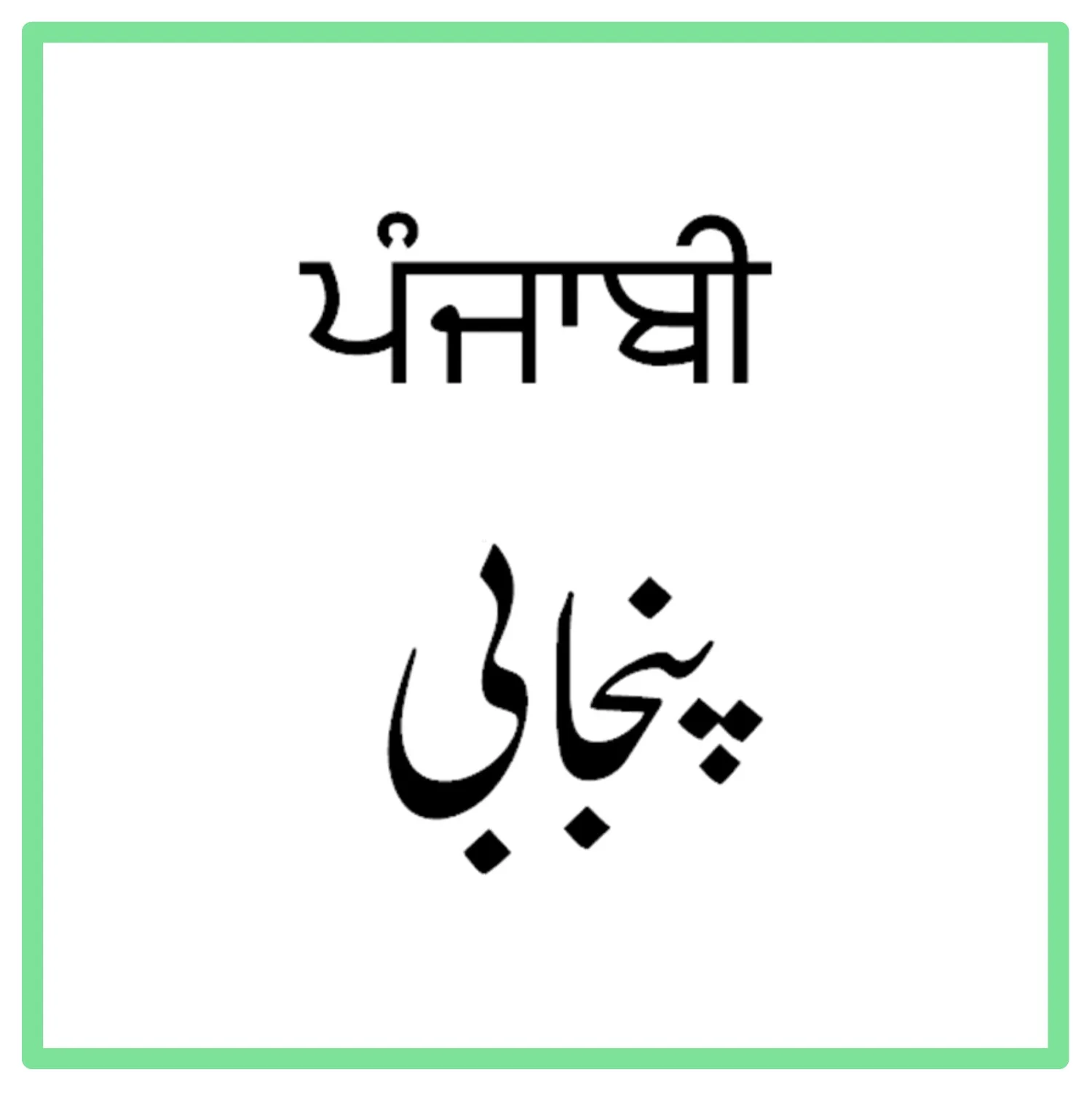 How to Preserve the Punjabi Language — American Pakistan Foundation