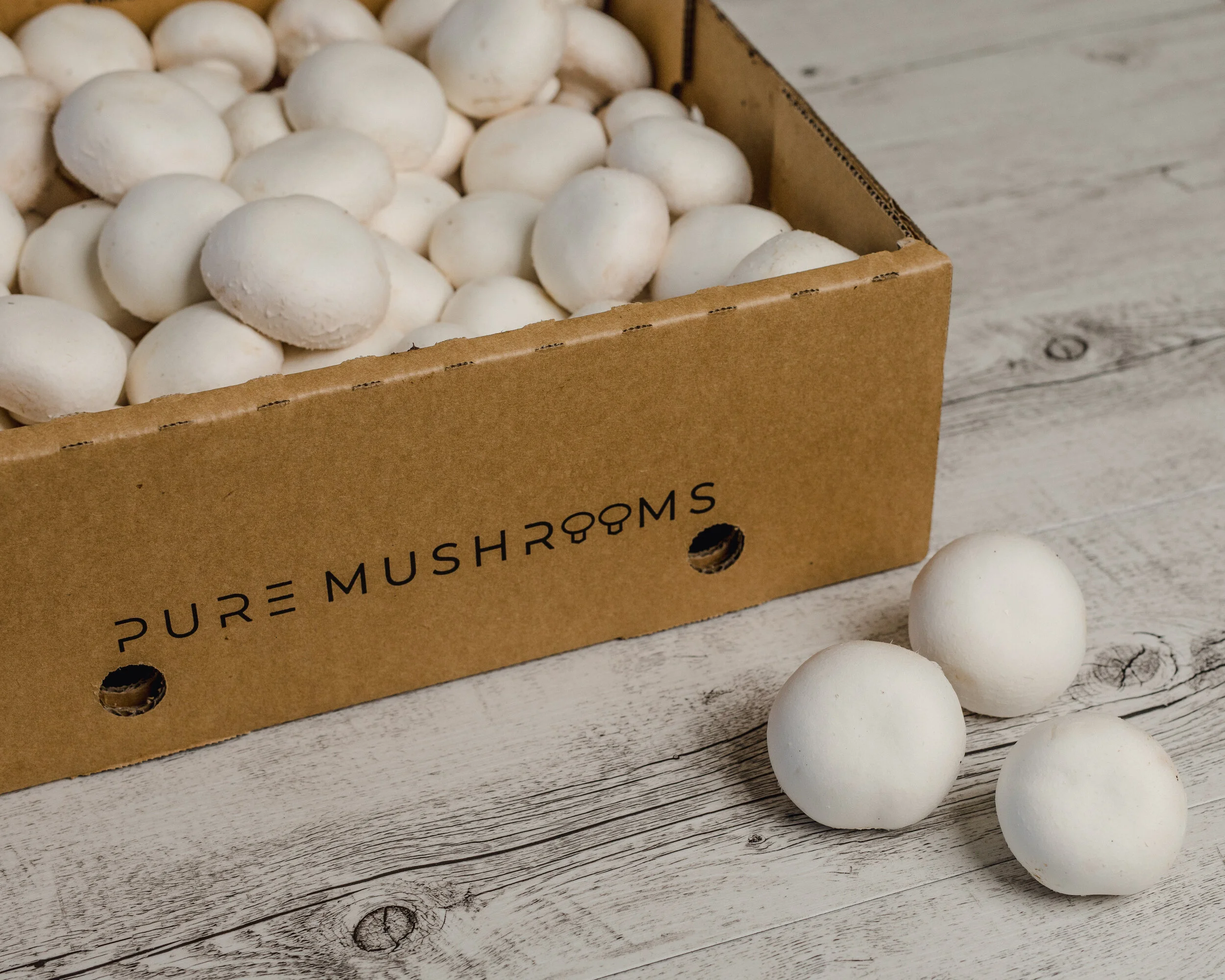 Products — PURE MUSHROOMS