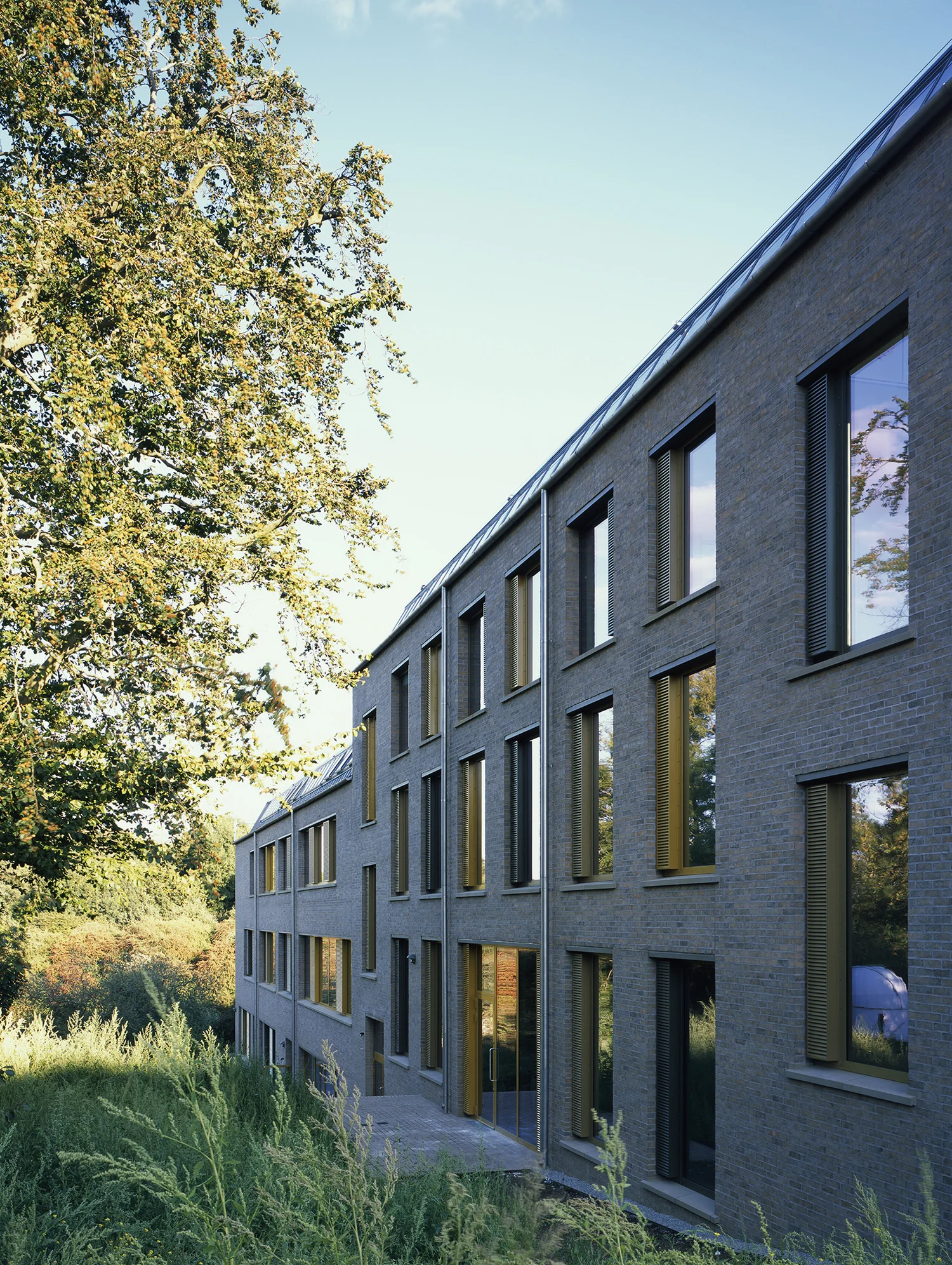 Sevenoaks School Science & Technology and Sixth Form Centres — Tim ...