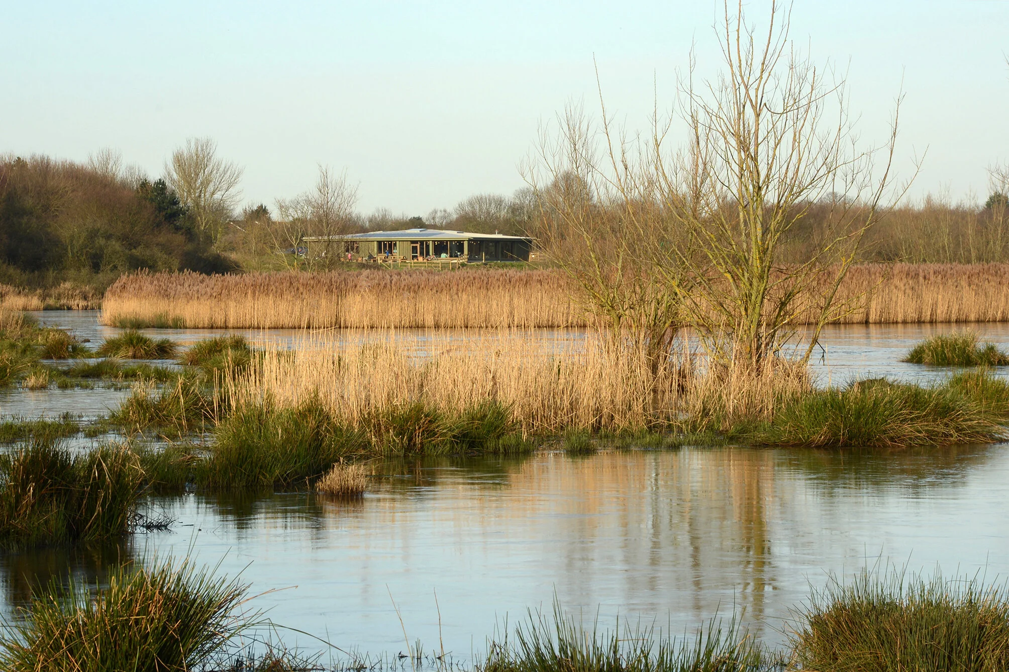 Ingrebourne Valley Visitor Centre — Tim Ronalds Architects