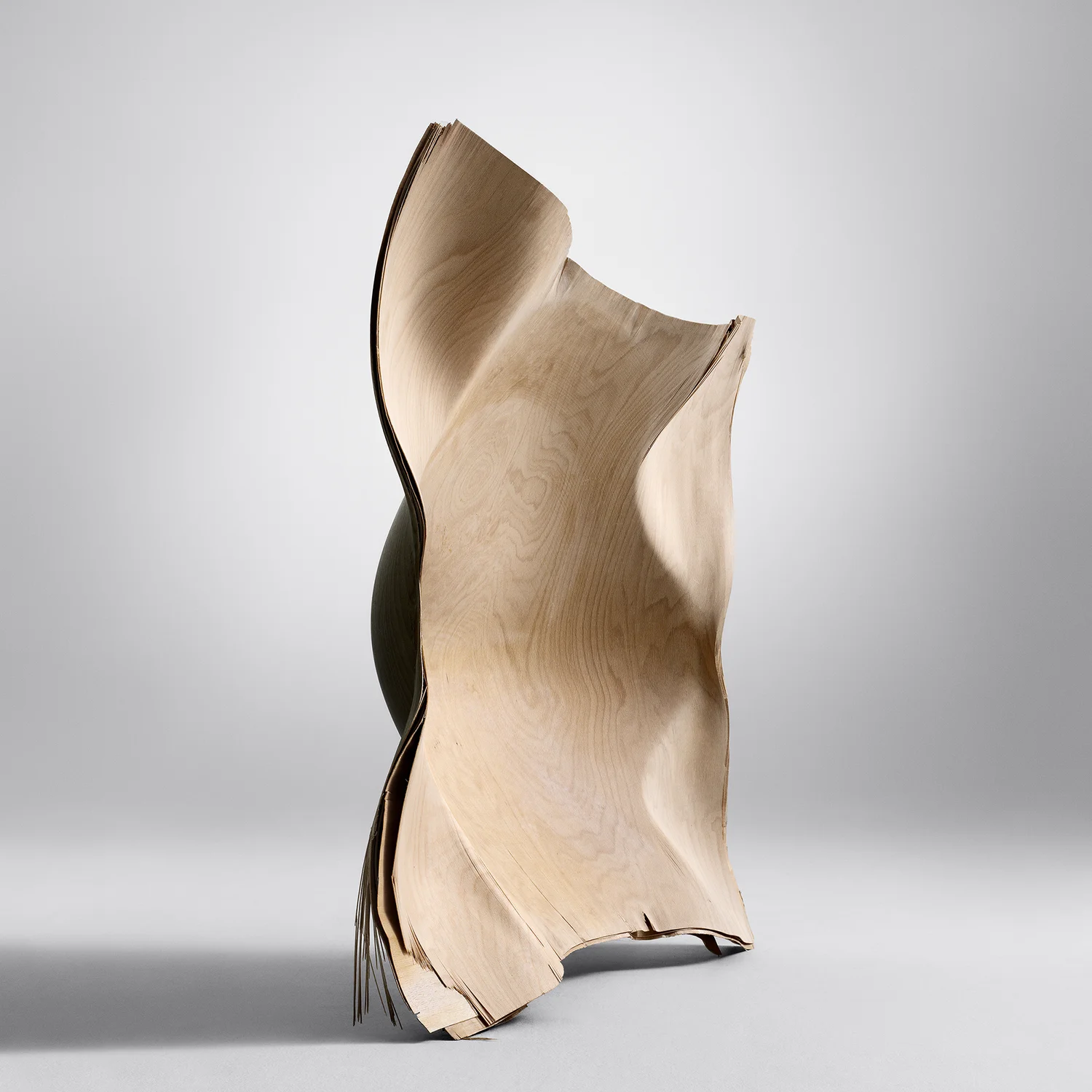 Palma — Feiz Design Studio