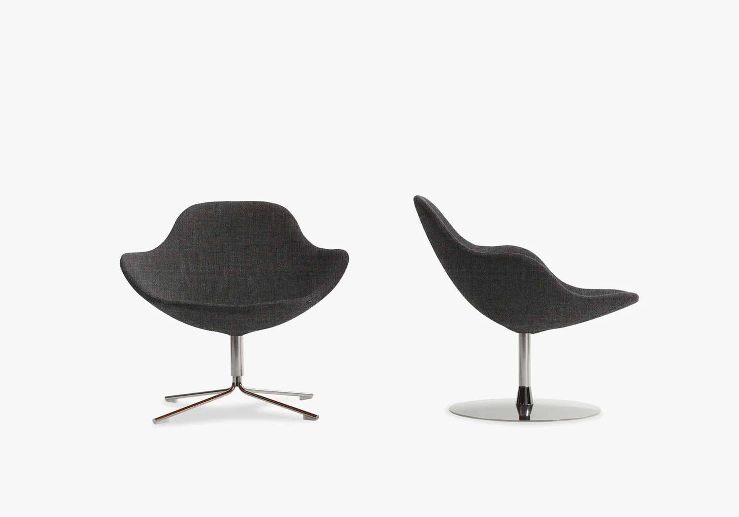 Palma — Feiz Design Studio