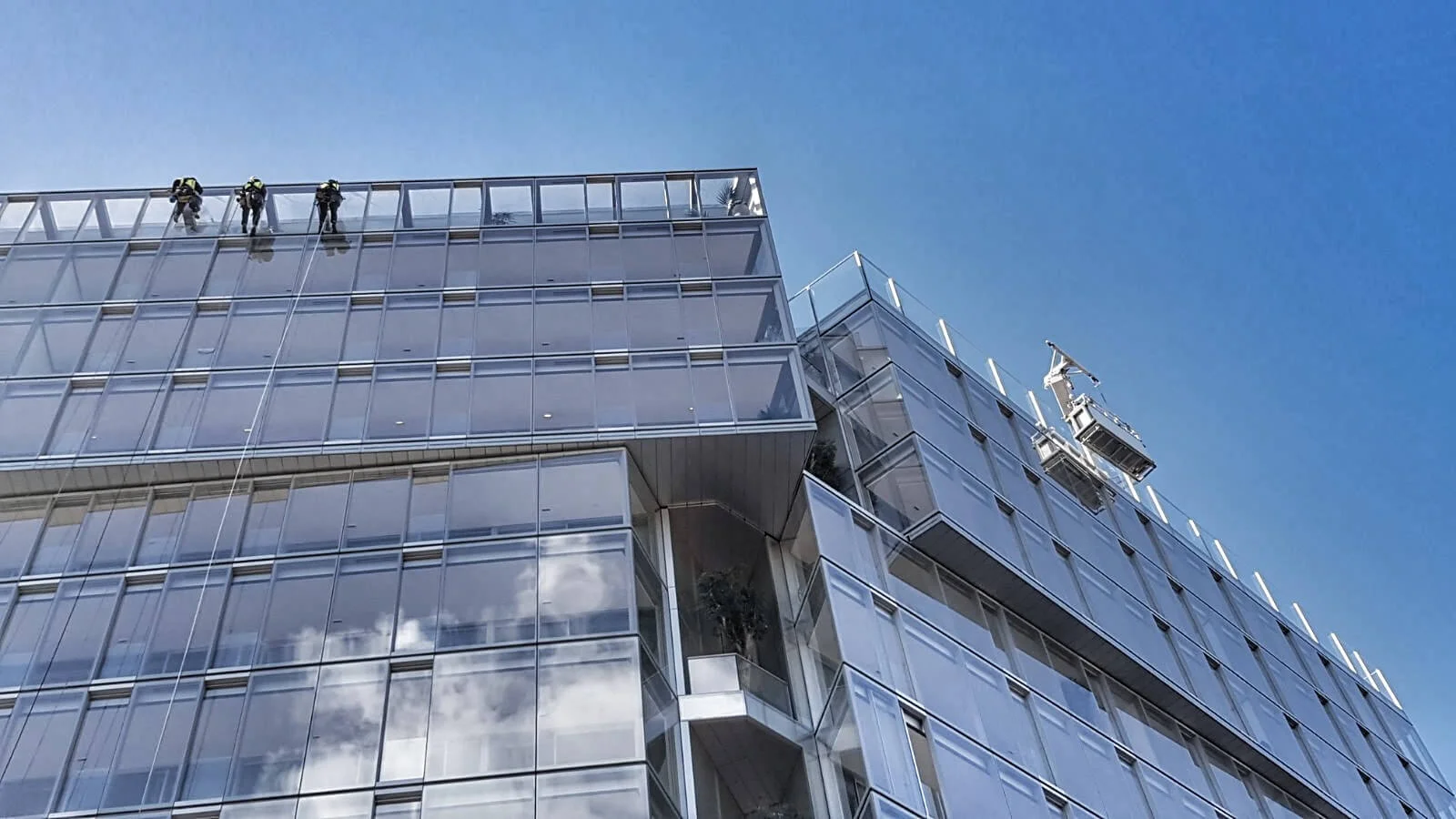 The London Window Cleaner