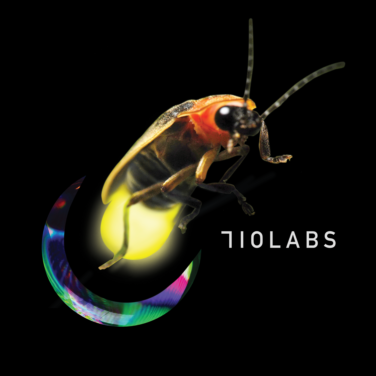 710 LABS MICHIGAN — 710 Labs