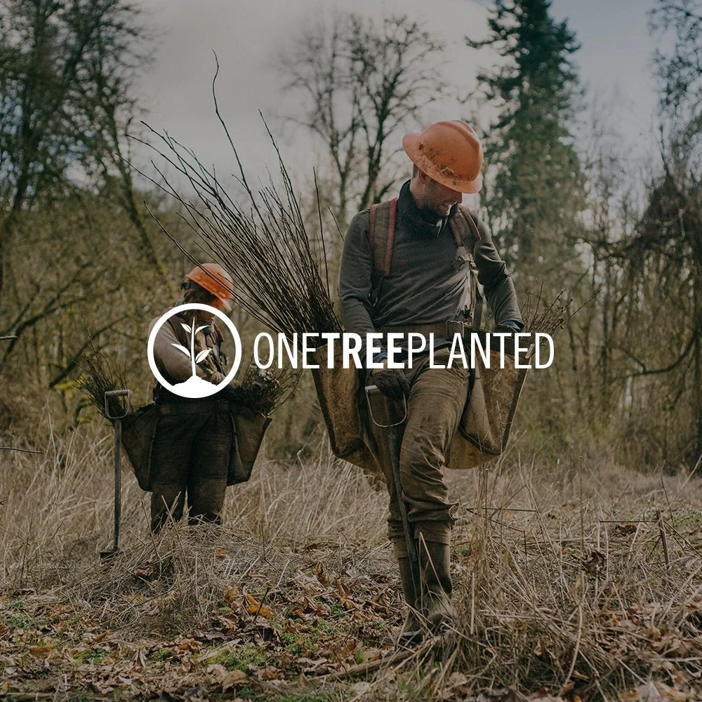 Core Values | Discover Our Core Values — The Promotions Department