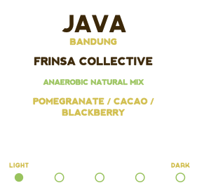 Shop — Convive Coffee