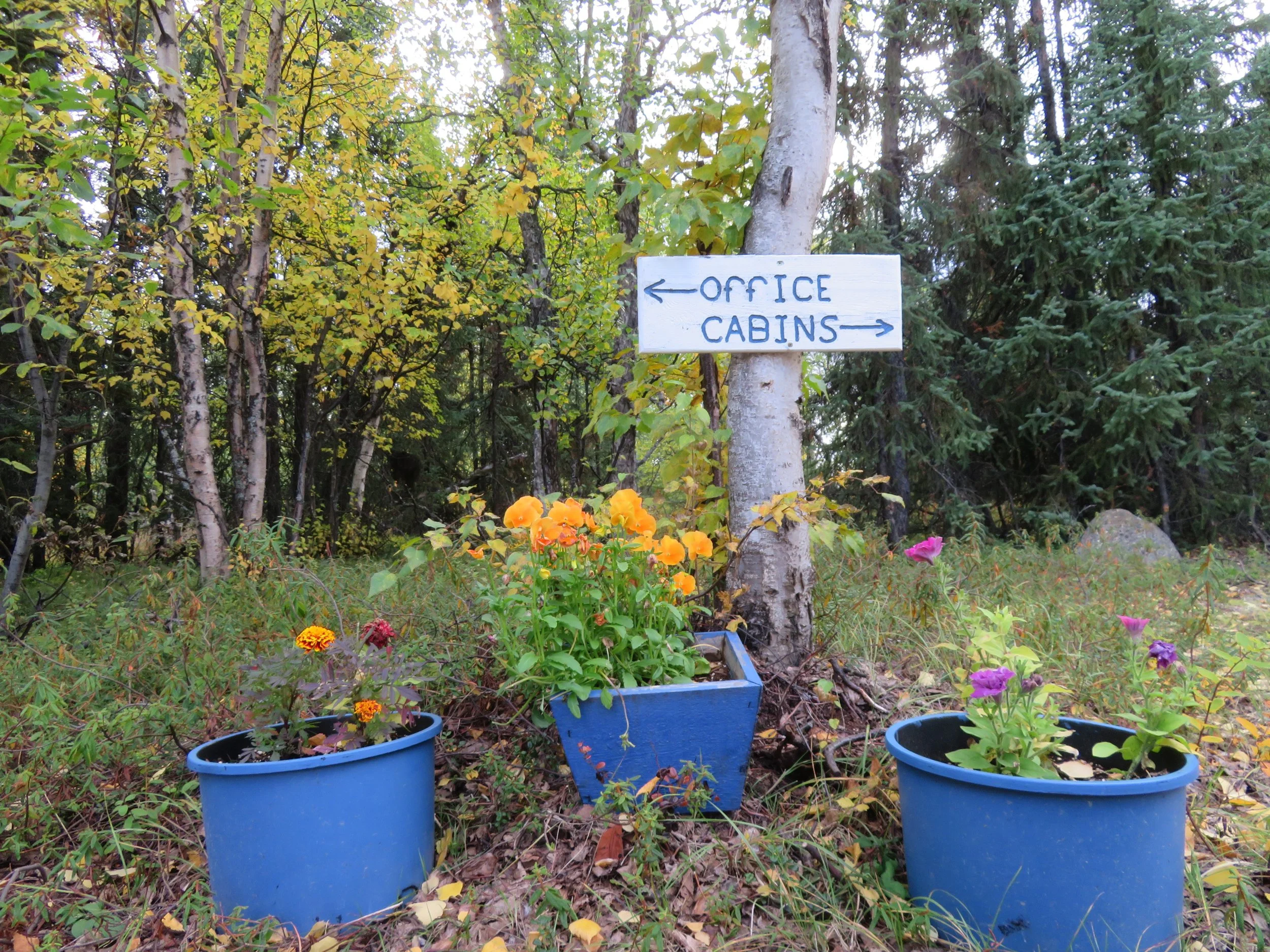 Reservations — Ridgetop Cabins