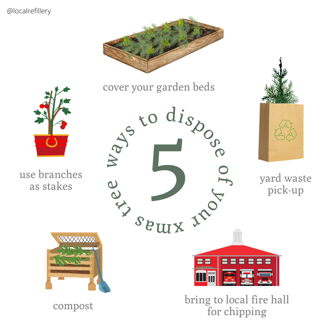 5 Ways to Dispose of Your Christmas Tree — Local Refillery