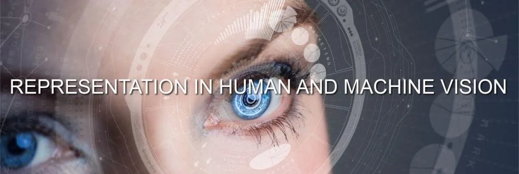 Representations in Human and/or Machine Vision – Ghassan AlRegib