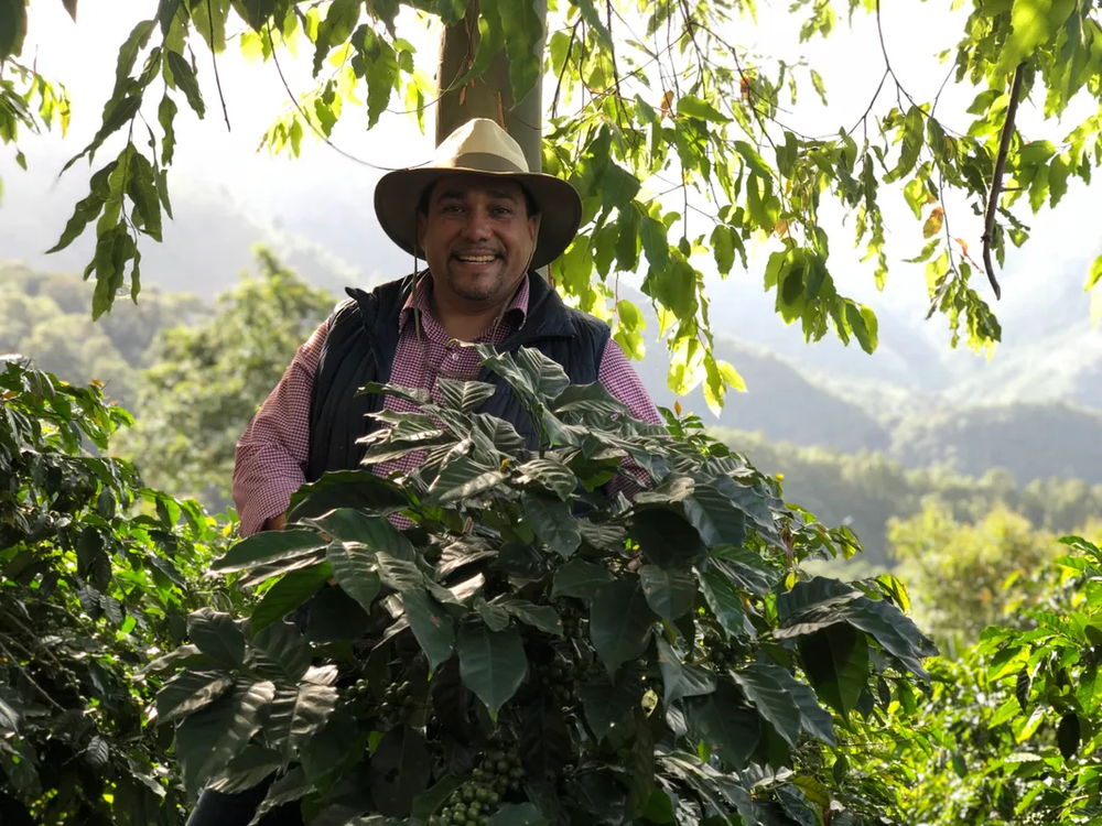 Capilla — Milka Coffee Roasters