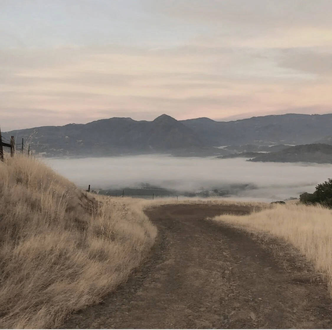 City & Culture — THATCHER HOTEL