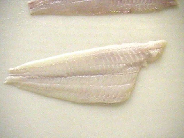 Rex Sole — OceanLamb